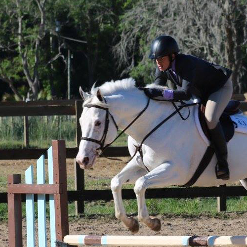 Riding Lessons in Jacksonville, FL - Riding, Training, Showing and ...