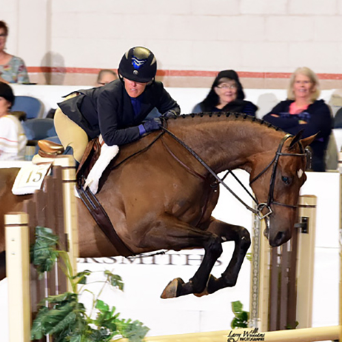 Riding Lessons in Jacksonville, FL - Riding, Training, Showing and ...
