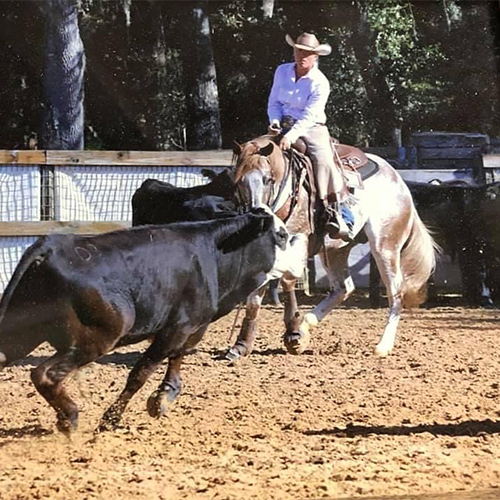 Riding Lessons in Jacksonville, FL - Riding, Training, Showing and ...