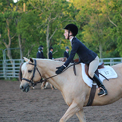 Riding Lessons in Jacksonville, FL - Riding, Training, Showing and ...