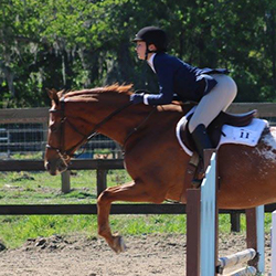 Riding Lessons in Jacksonville, FL - Riding, Training, Showing and ...