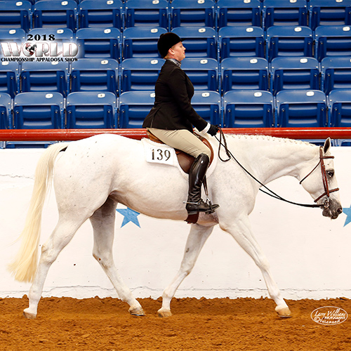 Riding Lessons in Jacksonville, FL - Riding, Training, Showing and ...