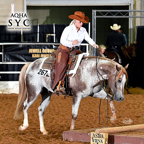 Riding Lessons in Jacksonville, FL - Riding, Training, Showing and ...