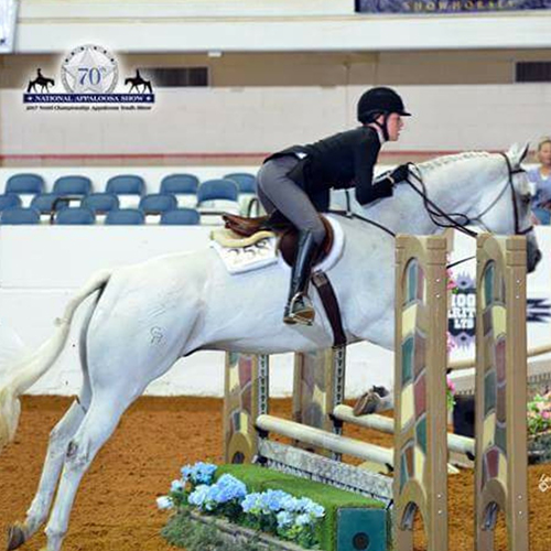 Riding Lessons in Jacksonville, FL - Riding, Training, Showing and ...