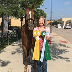 Riding Lessons in Jacksonville, FL - Riding, Training, Showing and ...