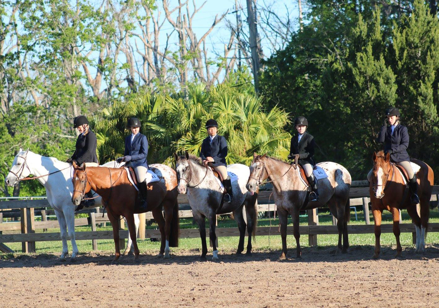 Photographs and Videos - Riding, Training, Showing and Breed in North ...