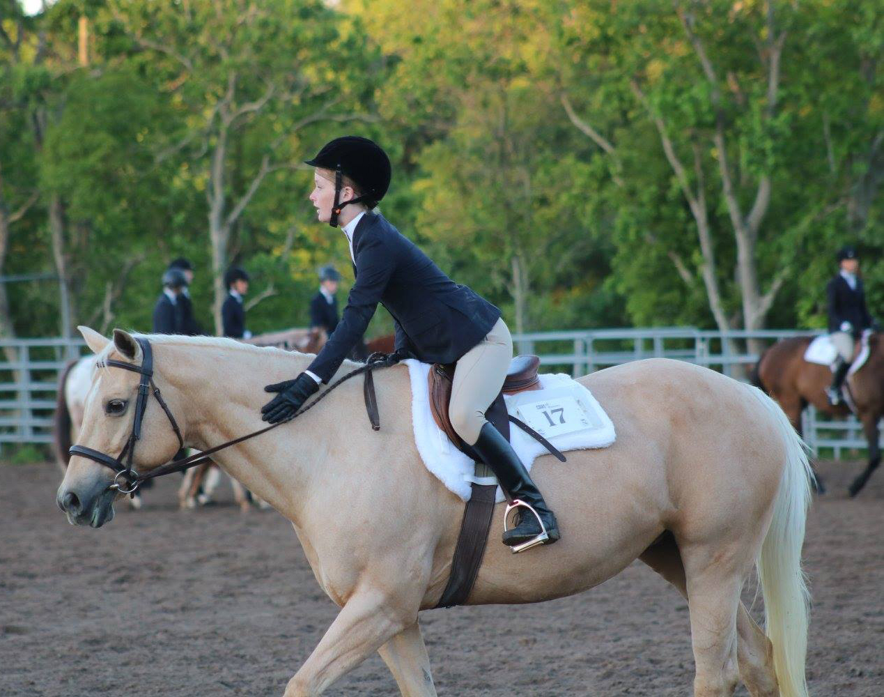 Photographs and Videos - Riding, Training, Showing and Breed in North ...