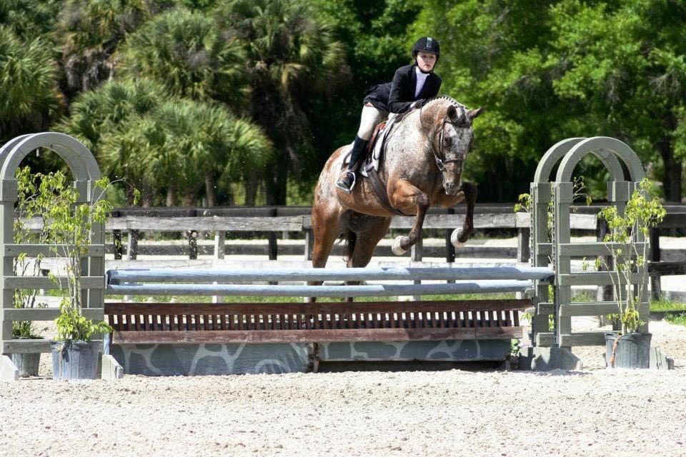 Photographs and Videos - Riding, Training, Showing and Breed in North ...