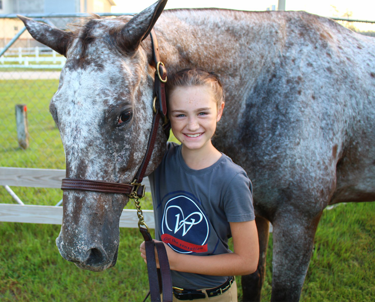 Photographs and Videos - Riding, Training, Showing and Breed in North ...